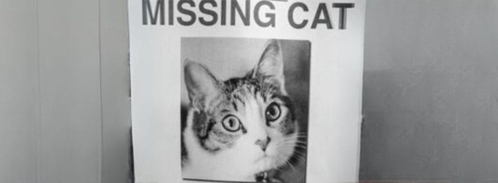 How to Write a Good Compo in Primary School (P3-P6)