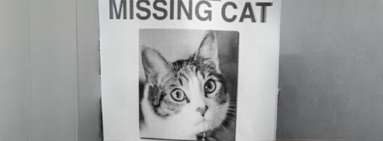 How to Write a Good Compo in Primary School (P3-P6)