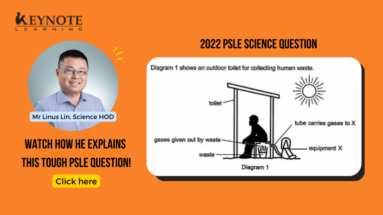 5 Challenging PSLE Science Questions You Must Try (2025)